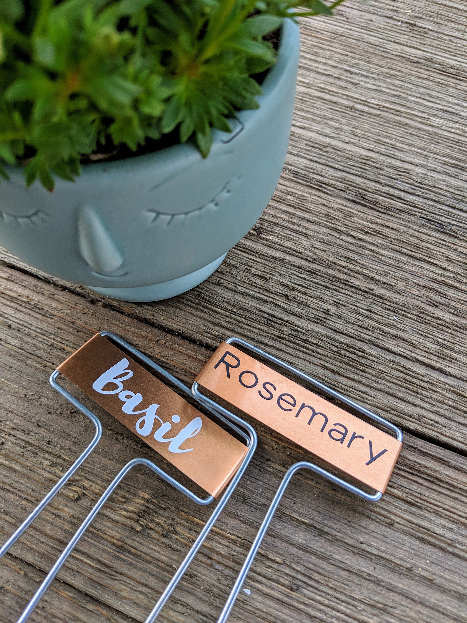 Custom Metal Garden Marker Plant Label | Etsy