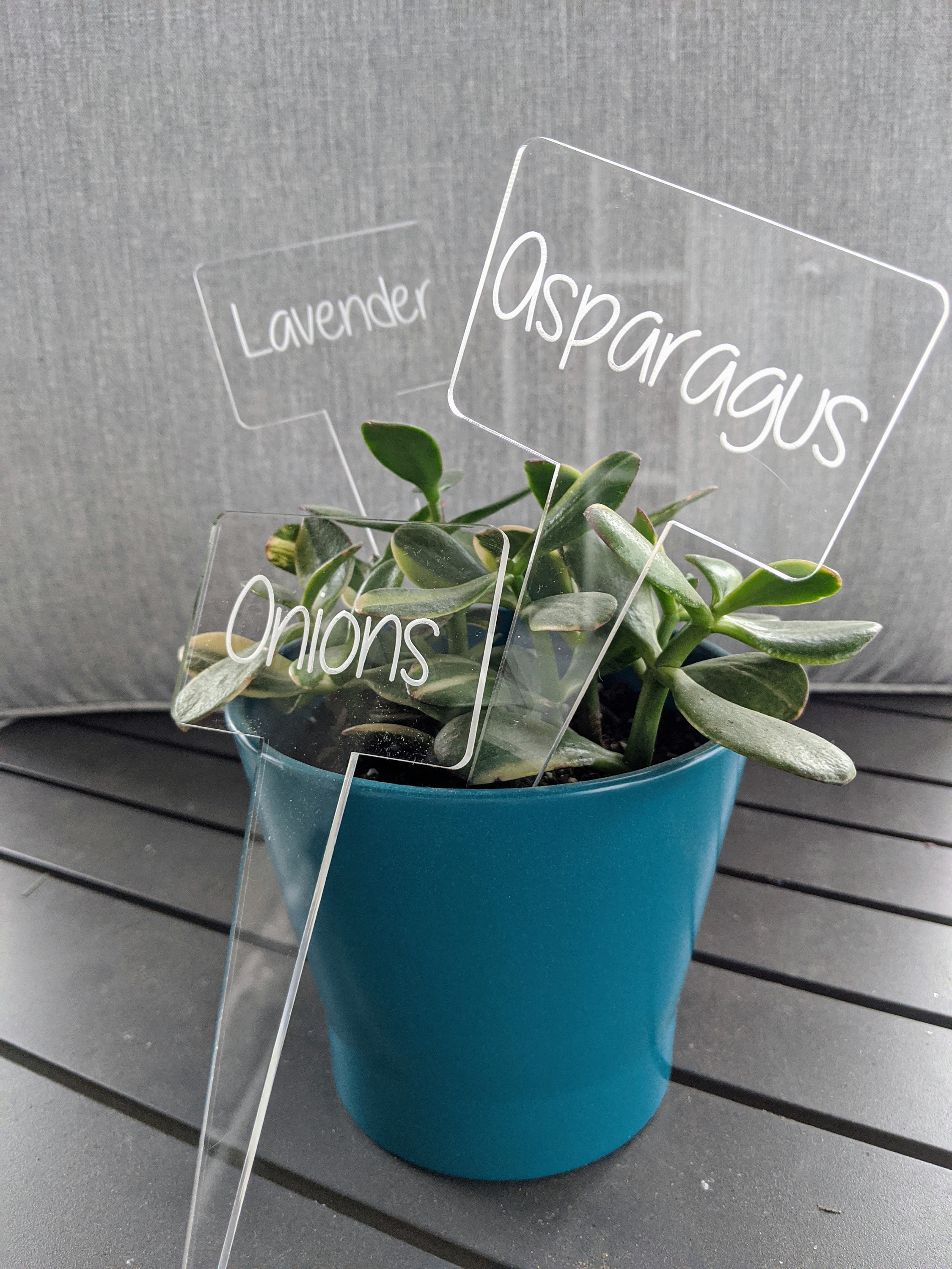 Custom Acrylic Garden Marker Plant Label Large Garden Stake - Etsy