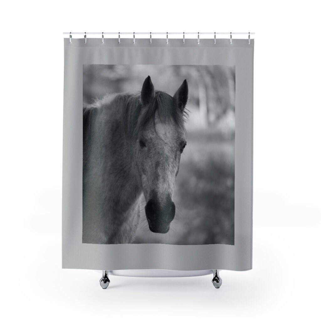 Animals Bath Curtain Horse Herd Run Gallop On Desert Dust In Sunset Sky ...