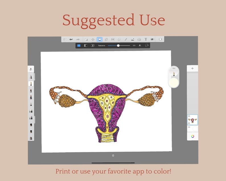 Zen Uterus Coloring Page - Etsy