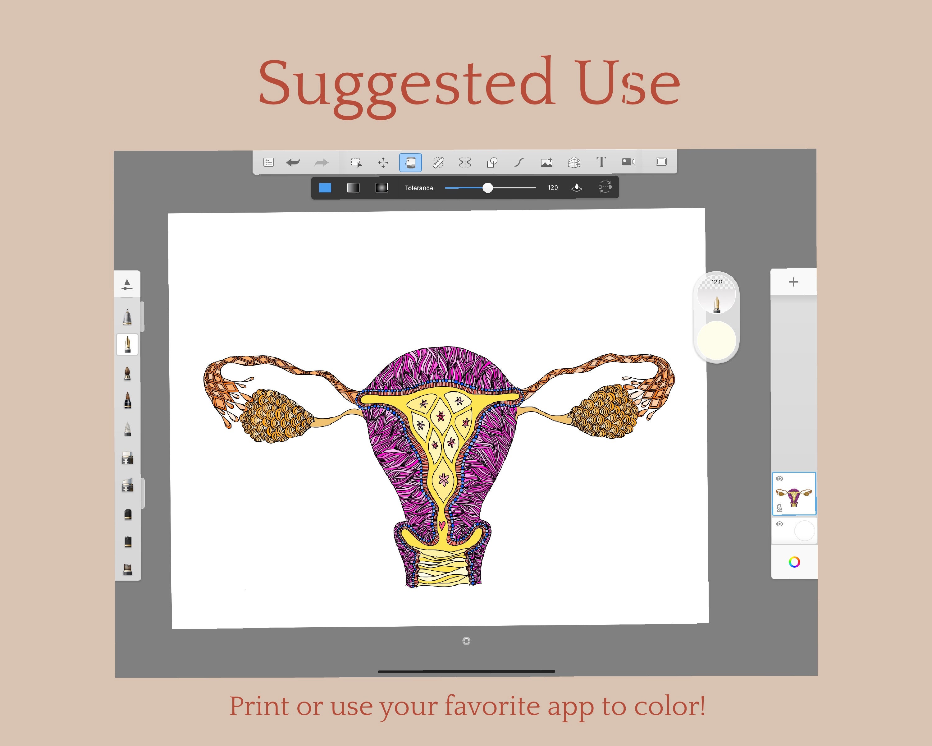 Zen Uterus Coloring Page - Etsy