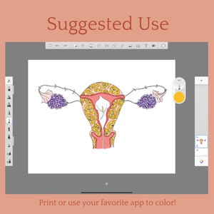Floral Uterus Coloring Page - Etsy
