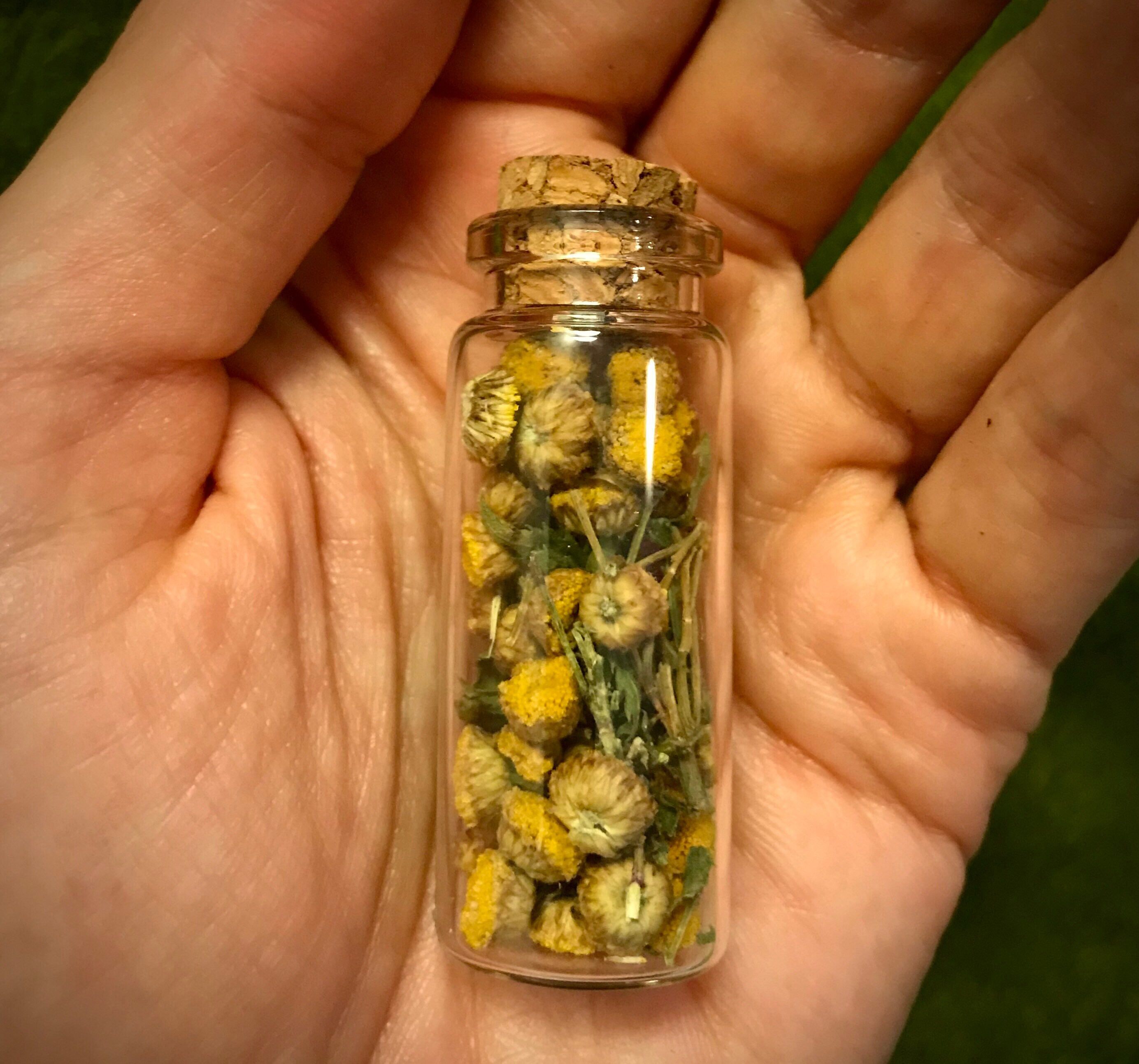 Altar Ritual Herbs and Resins in Rustic Bottles Wormwood, Lavender ...