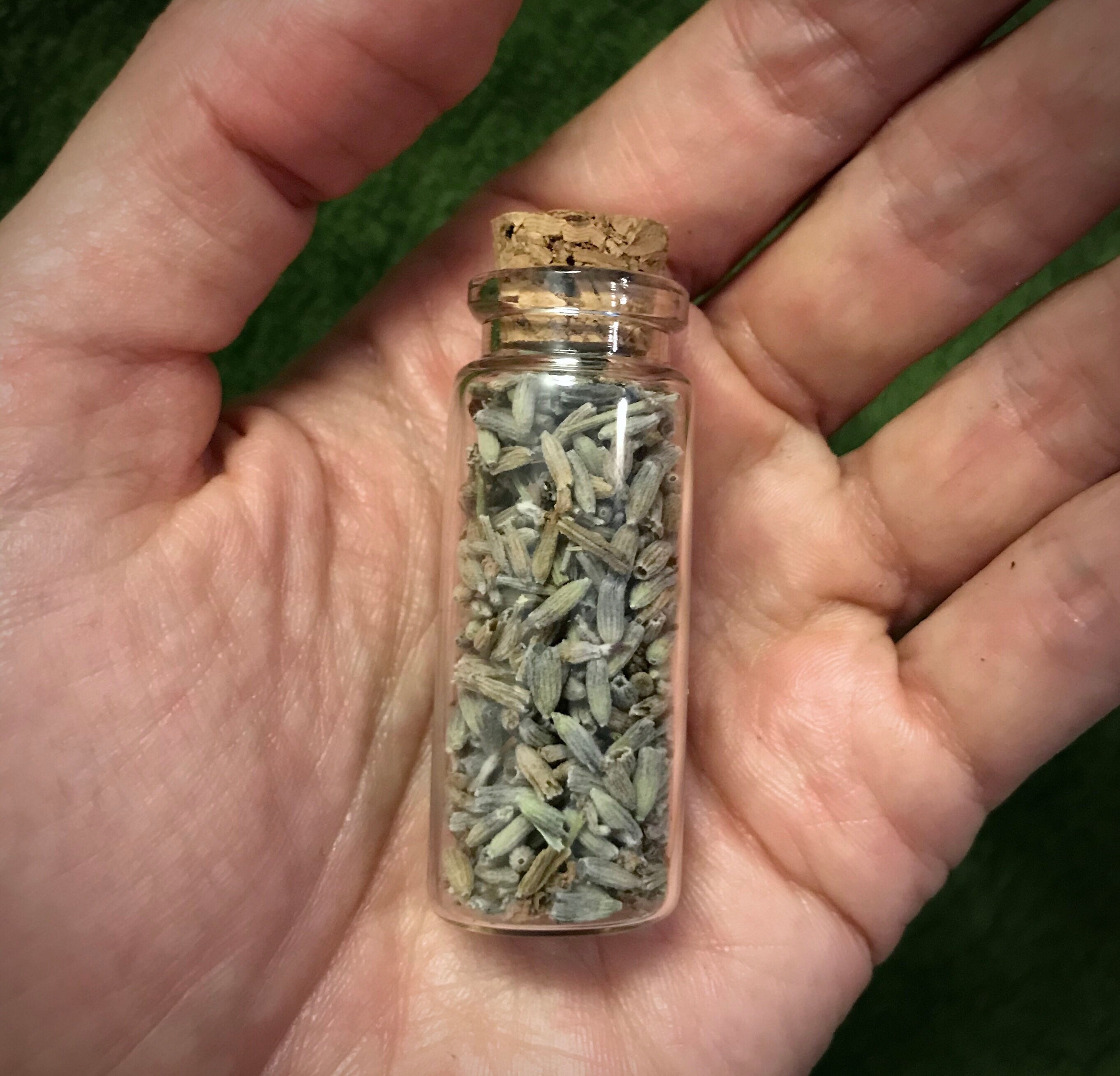 Altar Ritual Herbs and Resins in Rustic Bottles Wormwood, Lavender ...