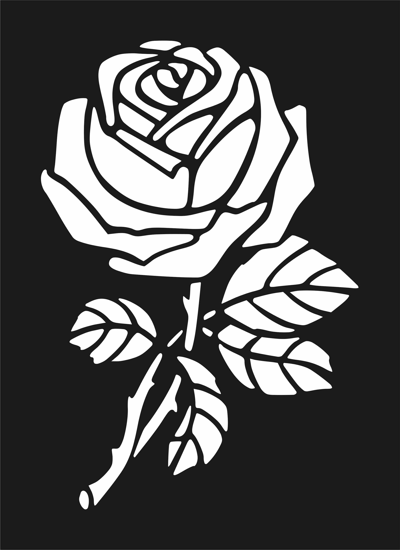 Rose vector dxf cdr svg jpg ai File Ready for CNC Cut rose | Etsy