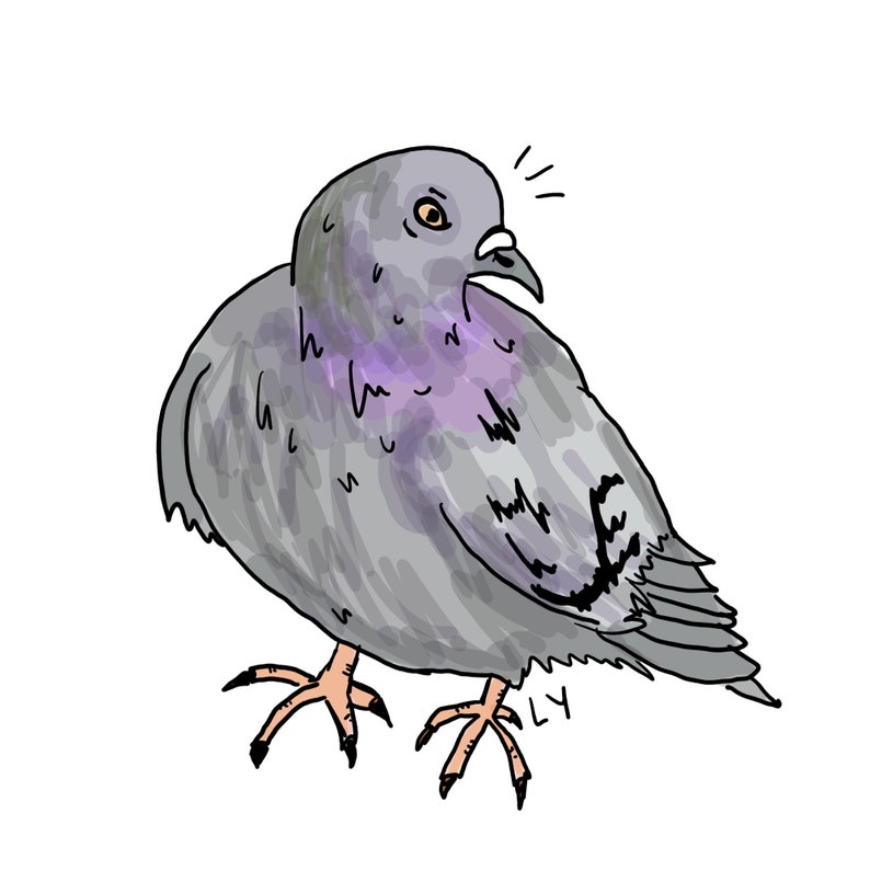 Pigeon Stickers - Etsy