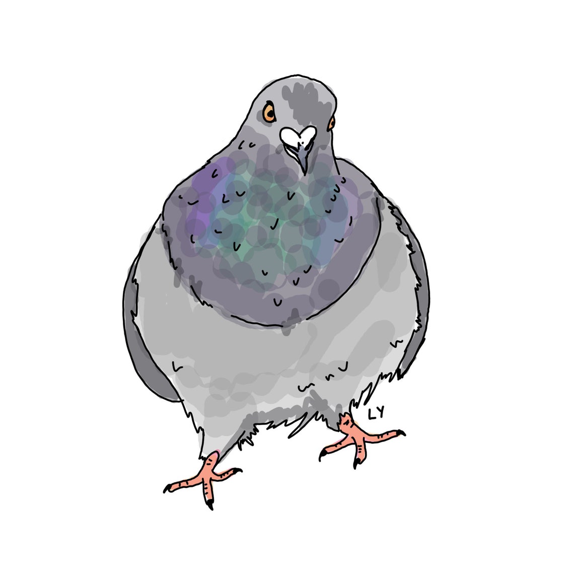 Pigeon Stickers - Etsy