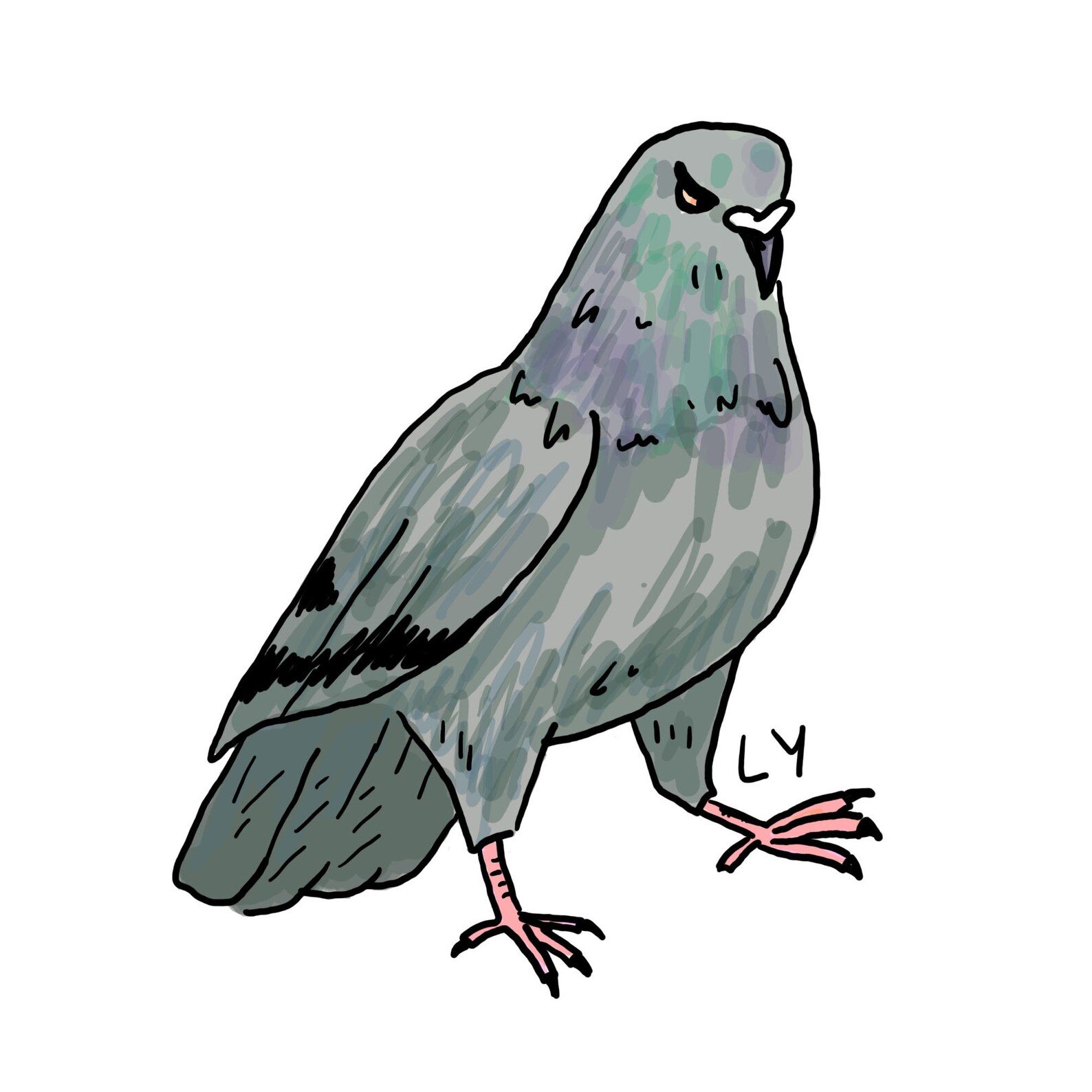 Pigeon Stickers | Etsy