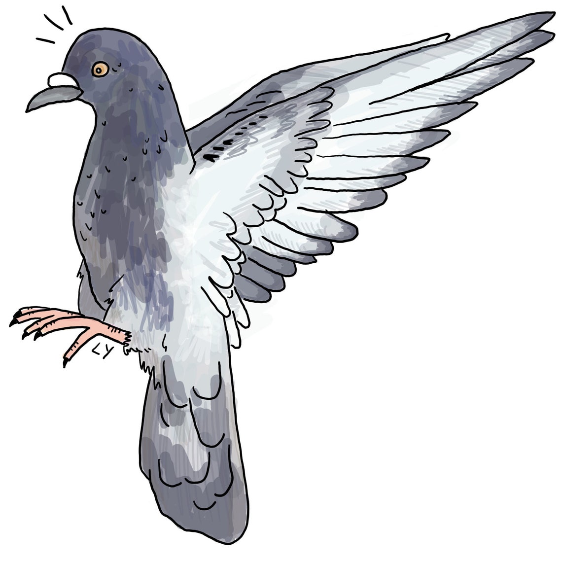 Pigeon Stickers | Etsy