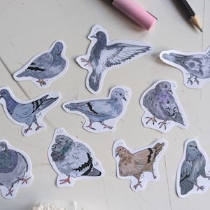 Pigeon Stickers - Etsy