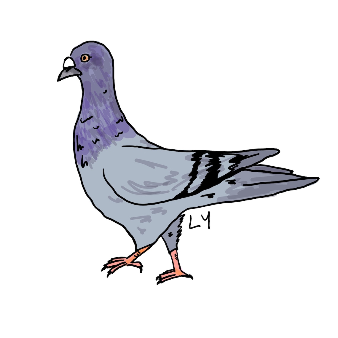 Pigeon Stickers | Etsy