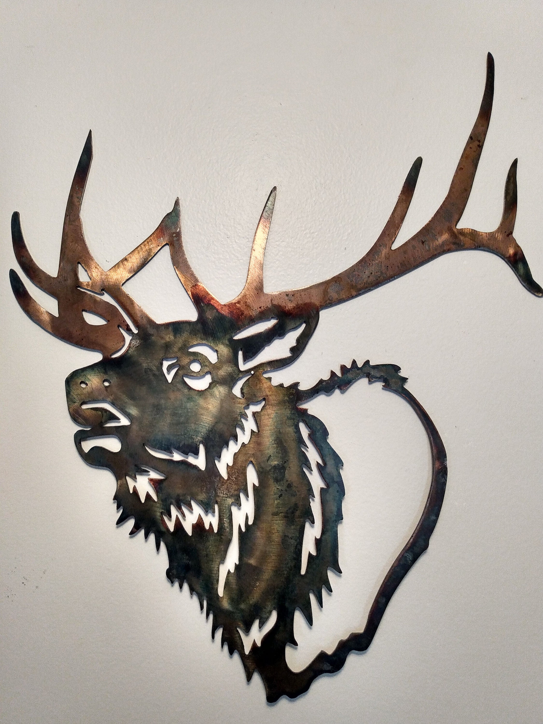 Elk Bull Mount
