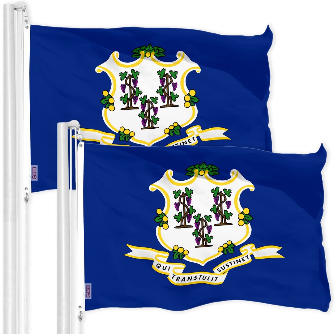 G128 2 Pack: Connecticut CT State Flag | 3x5 Ft | Printed 150D ...