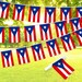Bandera Del Municipio De Fajardo,puerto Rico Con Canton (house Flag) - Etsy