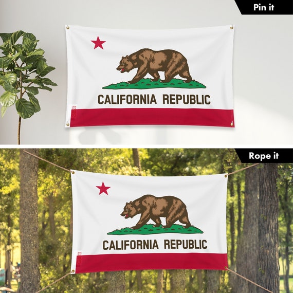California State Flag Colors