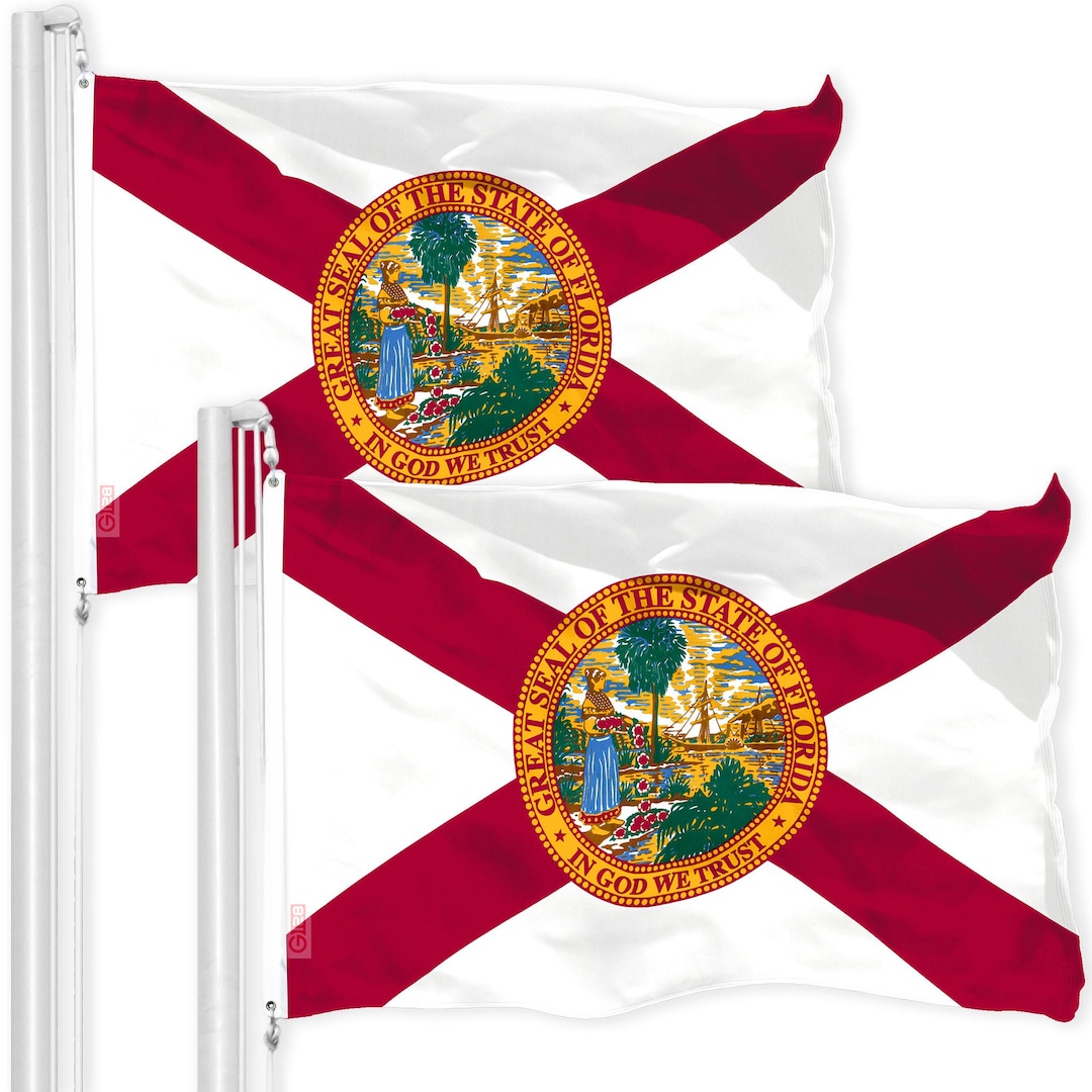 Florida FL State Flag 3x5ft 2-pack 150D Printed Polyester by G128 - Etsy