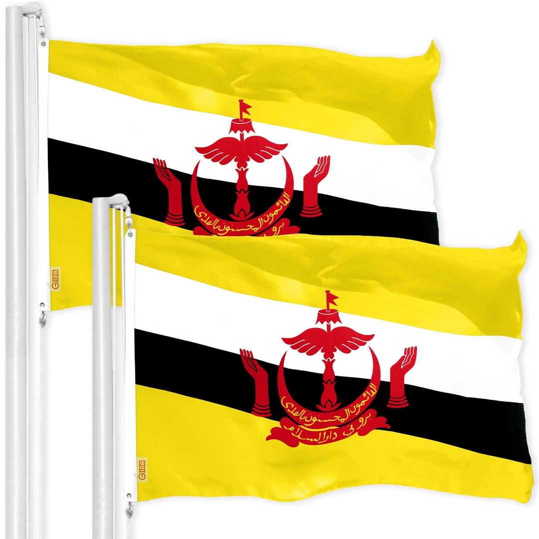 G128 2 Pack: Brunei Bruneian Flag | 3x5 Ft | Liteweave Pro Series ...