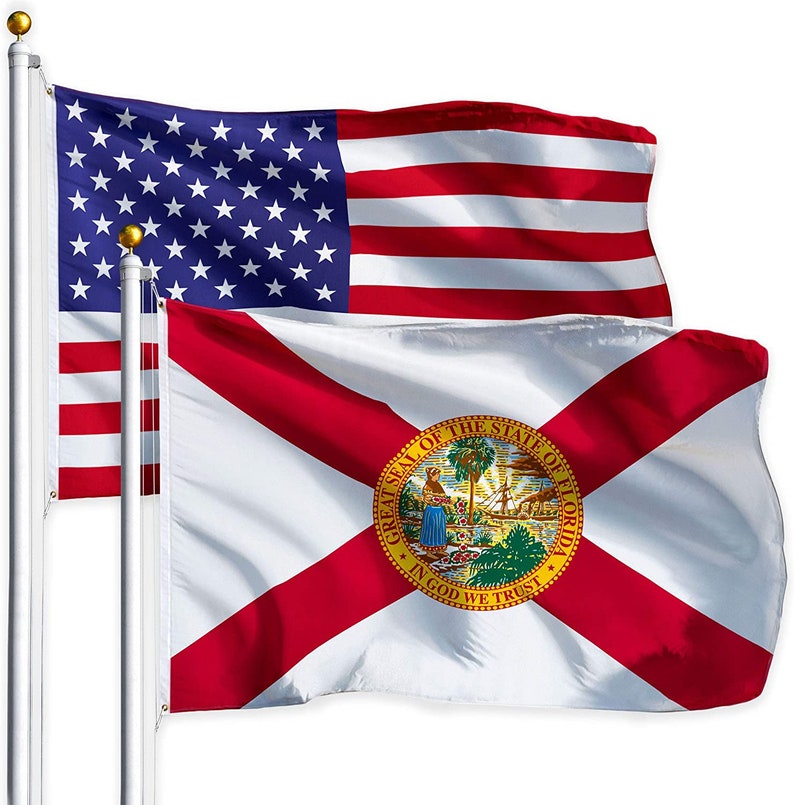 USA & Florida State Flag Combo: 3x5 Ft Printed Polyester - Etsy