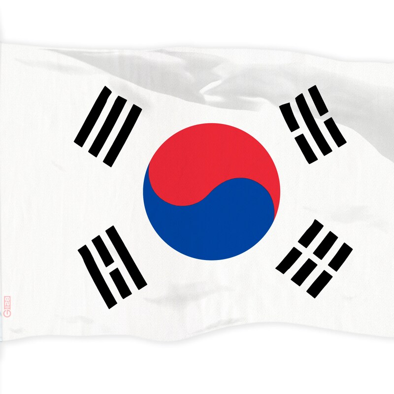 Chaewon Flag - Etsy