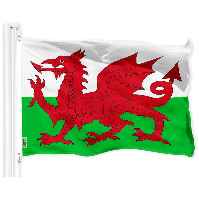 Welsh Flag - Etsy