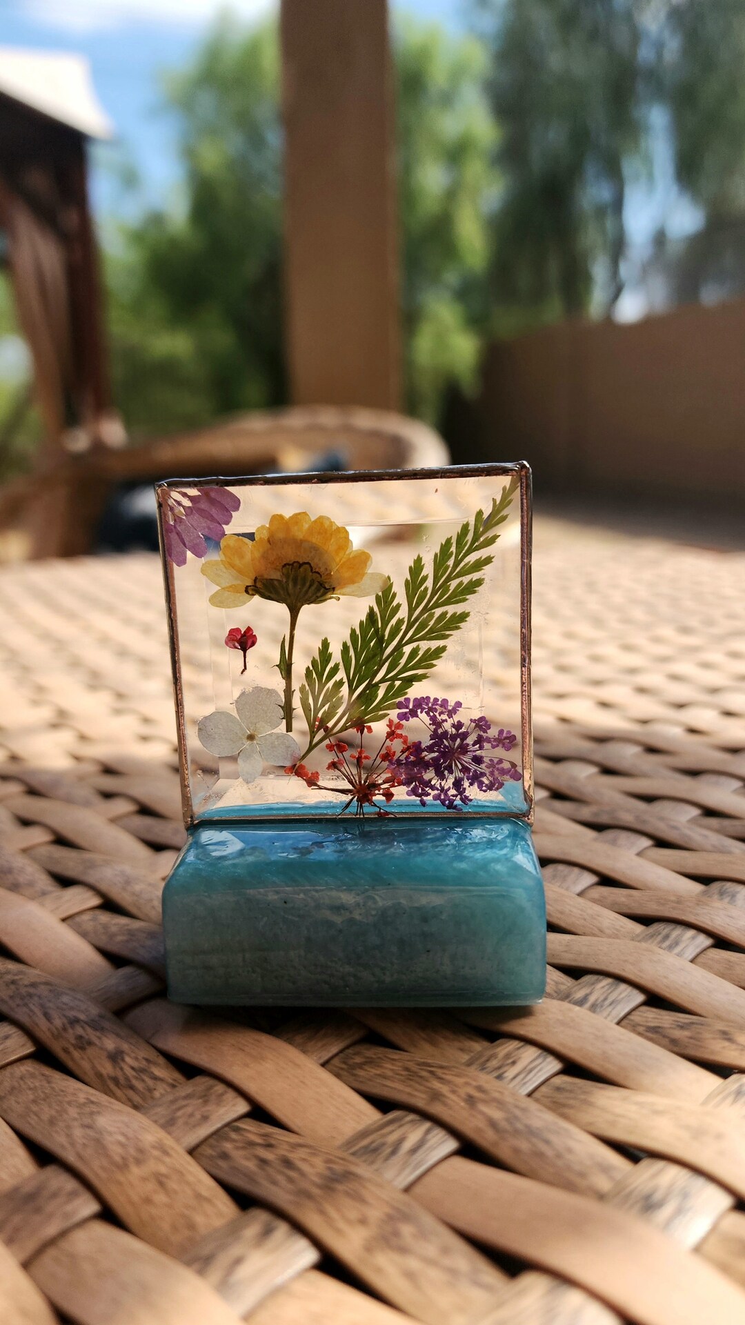 Four Seasons Pressed Flowers. for Windowsill or Desktop. Small Pressed ...