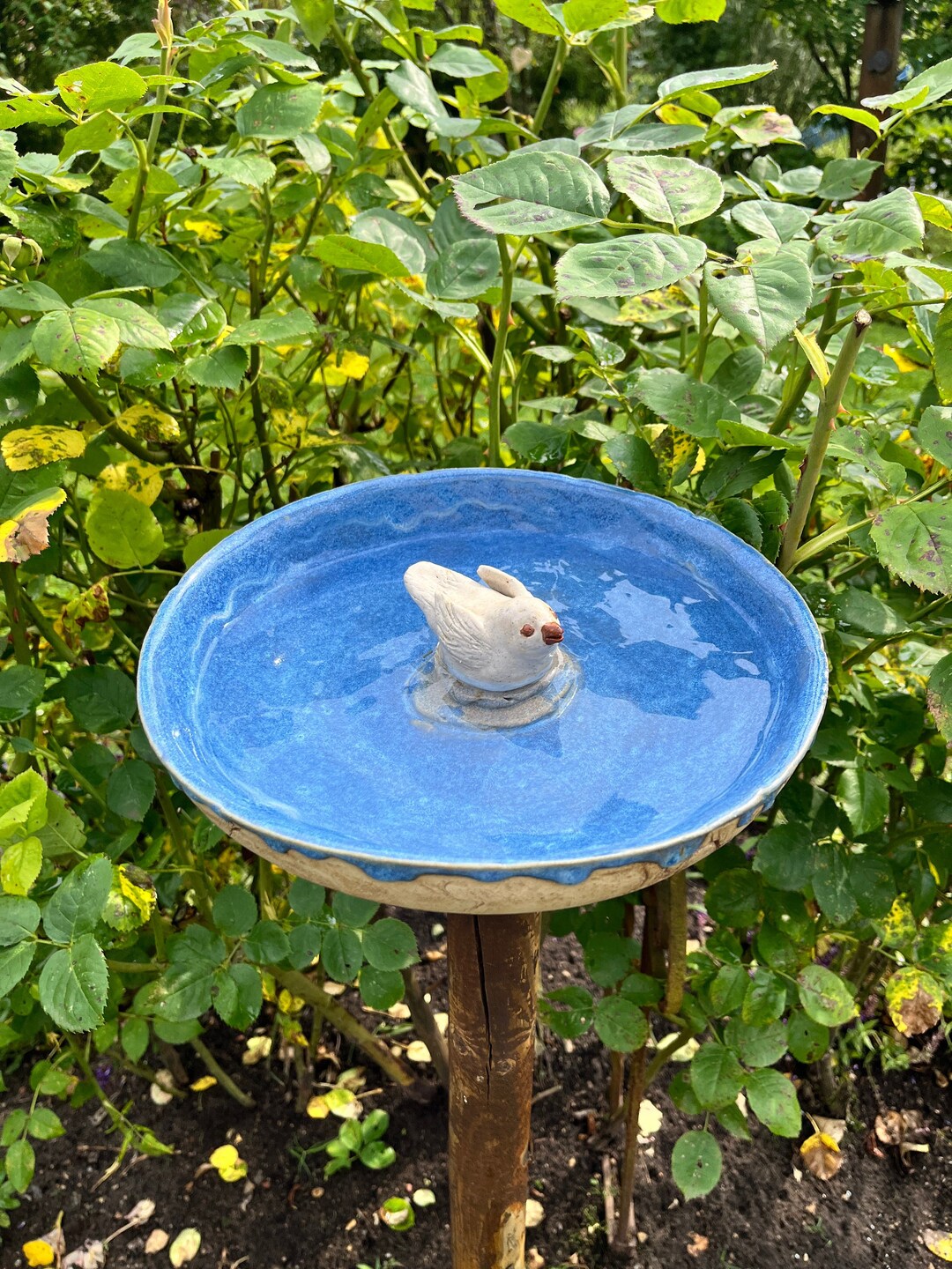 Bird Bath With Spout, Handmade Ceramic, Bird Bath, Insect Bath, Blue ...