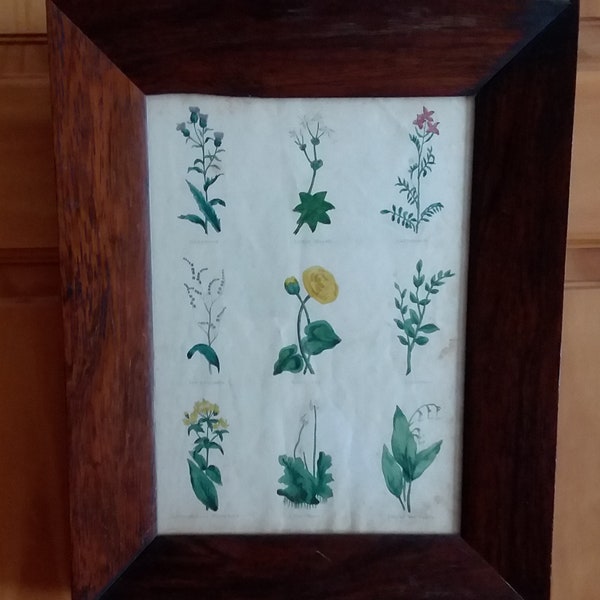 Botanical Book Plate - Etsy