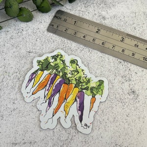 Carrot Magnet, Vegetable Magnet, Watercolor Magnet, Colorful Carrots ...