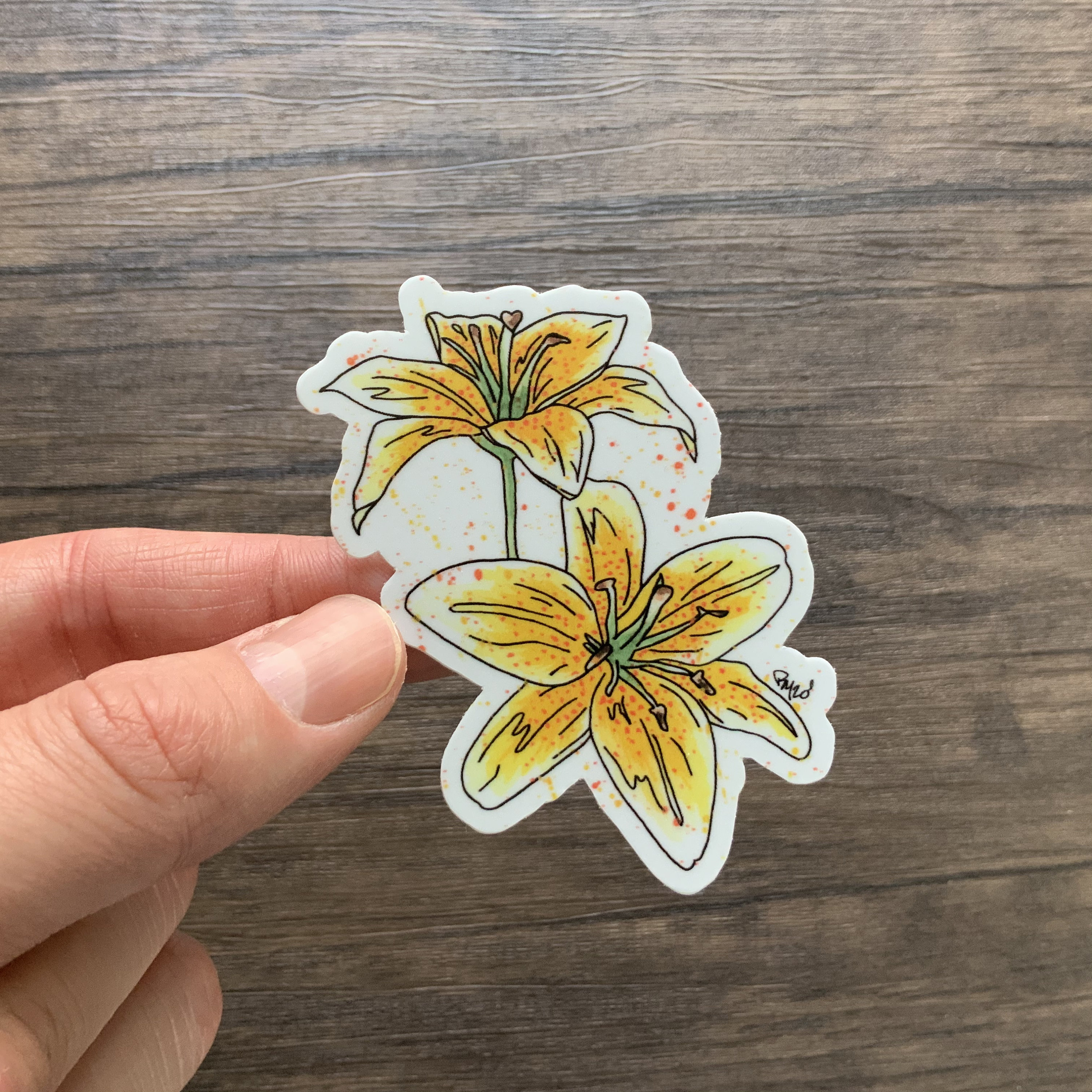 Lily Vinyl Sticker Set Lillies Stickers Flower Sticker Set - Etsy