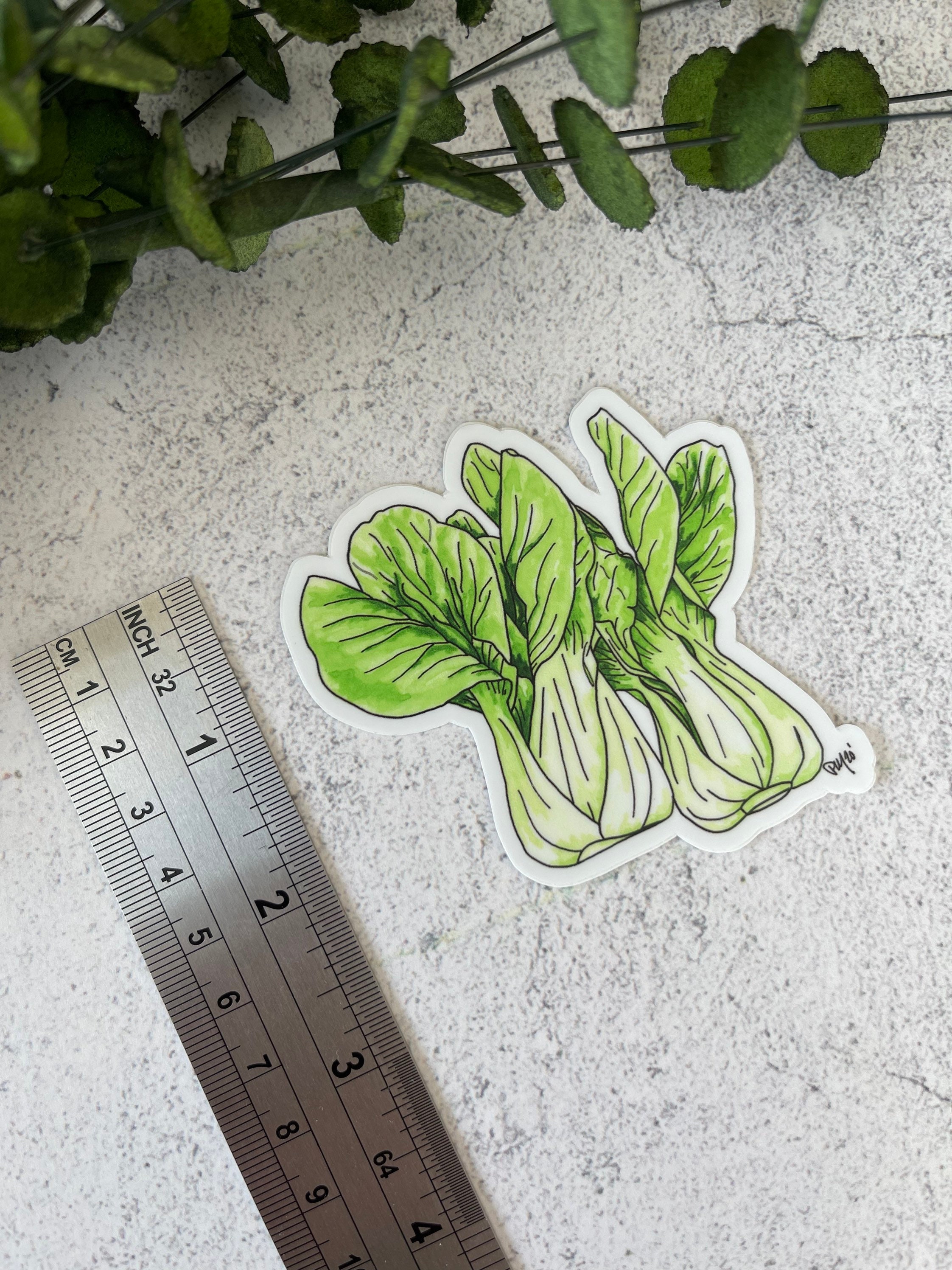 Gemüse Vinyl Sticker Bok Choy Sticker Aquarell Sticker - Etsy.de