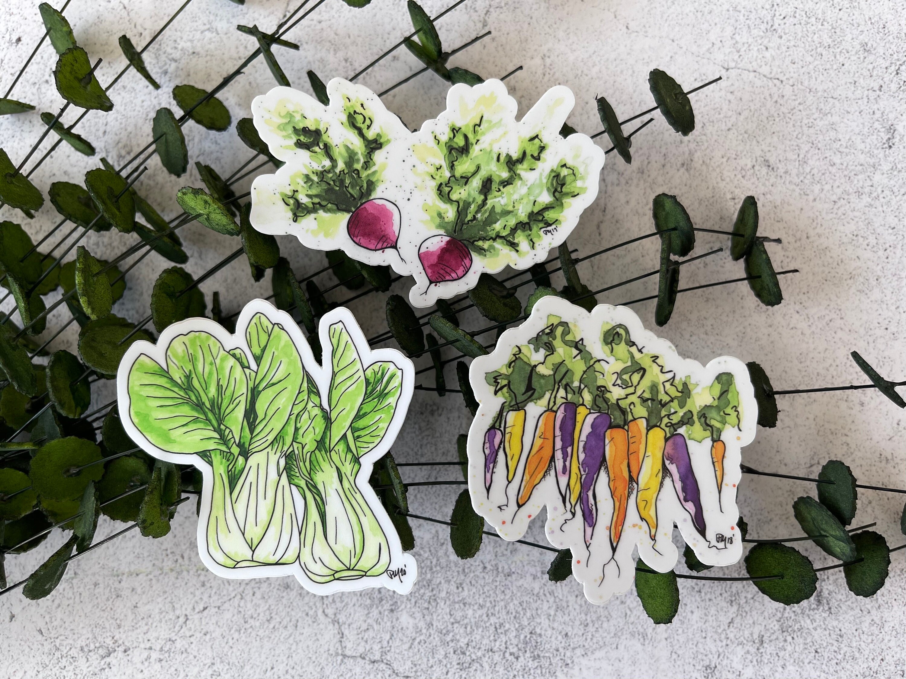 Gemüse Vinyl Sticker Set Garten Sticker Set Aquarell Sticker | Etsy