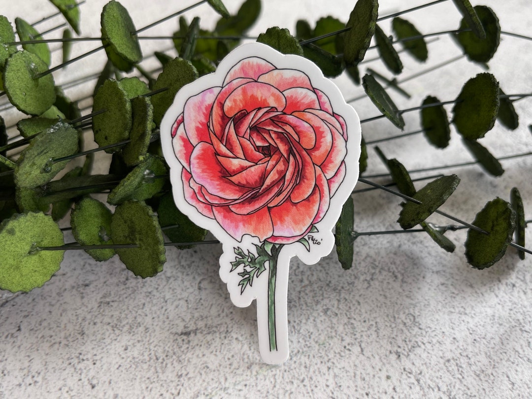 Ranunculus Vinyl Sticker Ranunculus Decal Pink Flower - Etsy