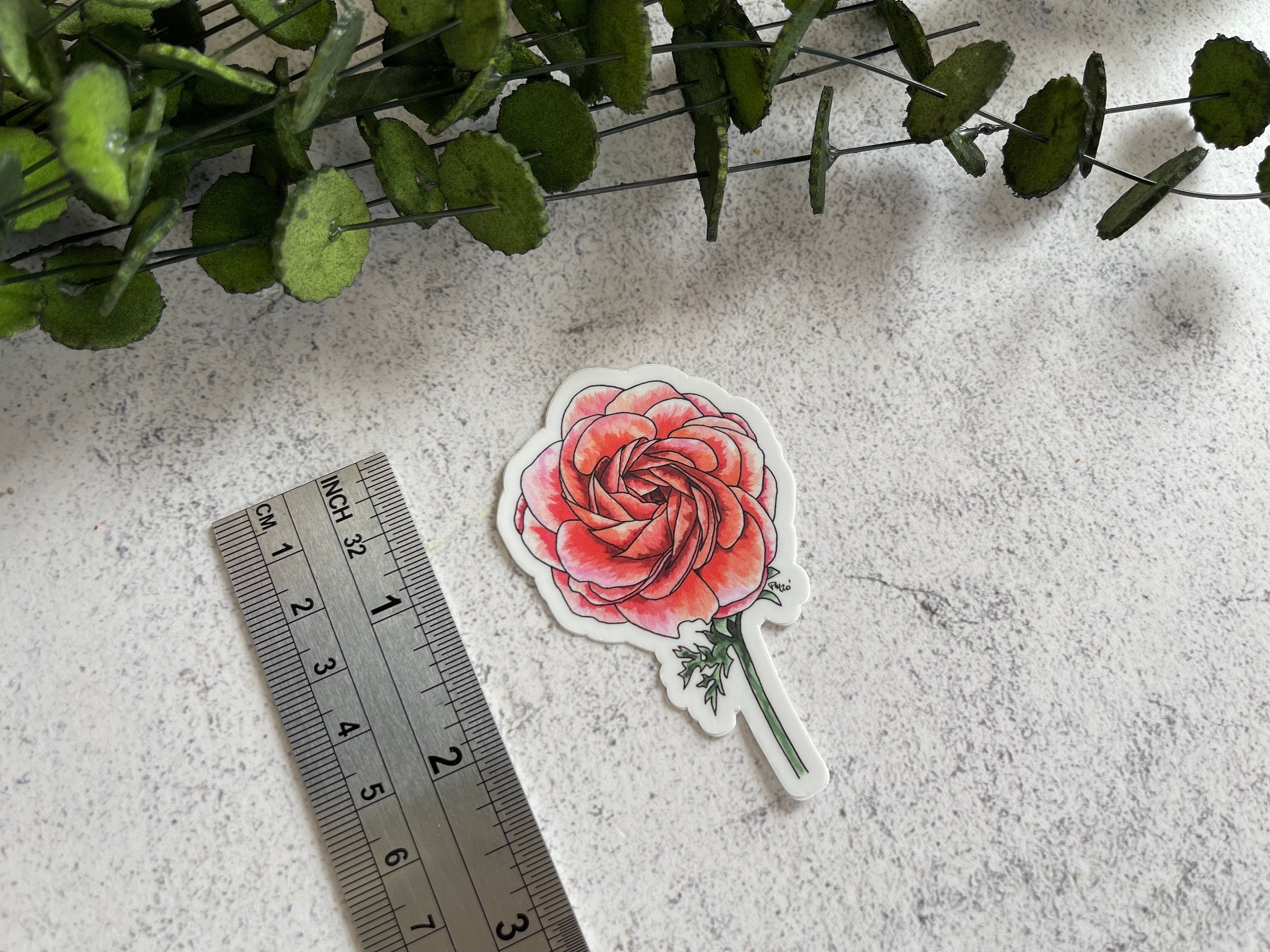 Ranunculus Vinyl Sticker Ranunculus Decal Pink Flower | Etsy