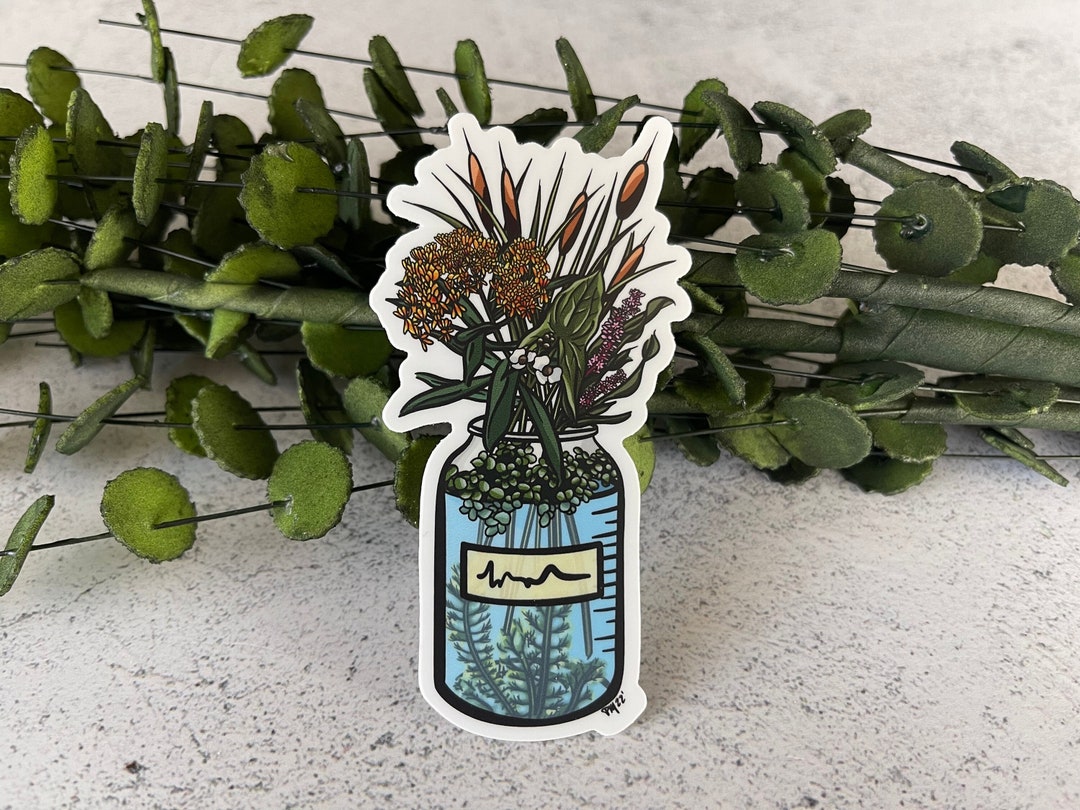 Wetland Sticker, Wetland Plants, Botanist Sticker, Science Sticker ...