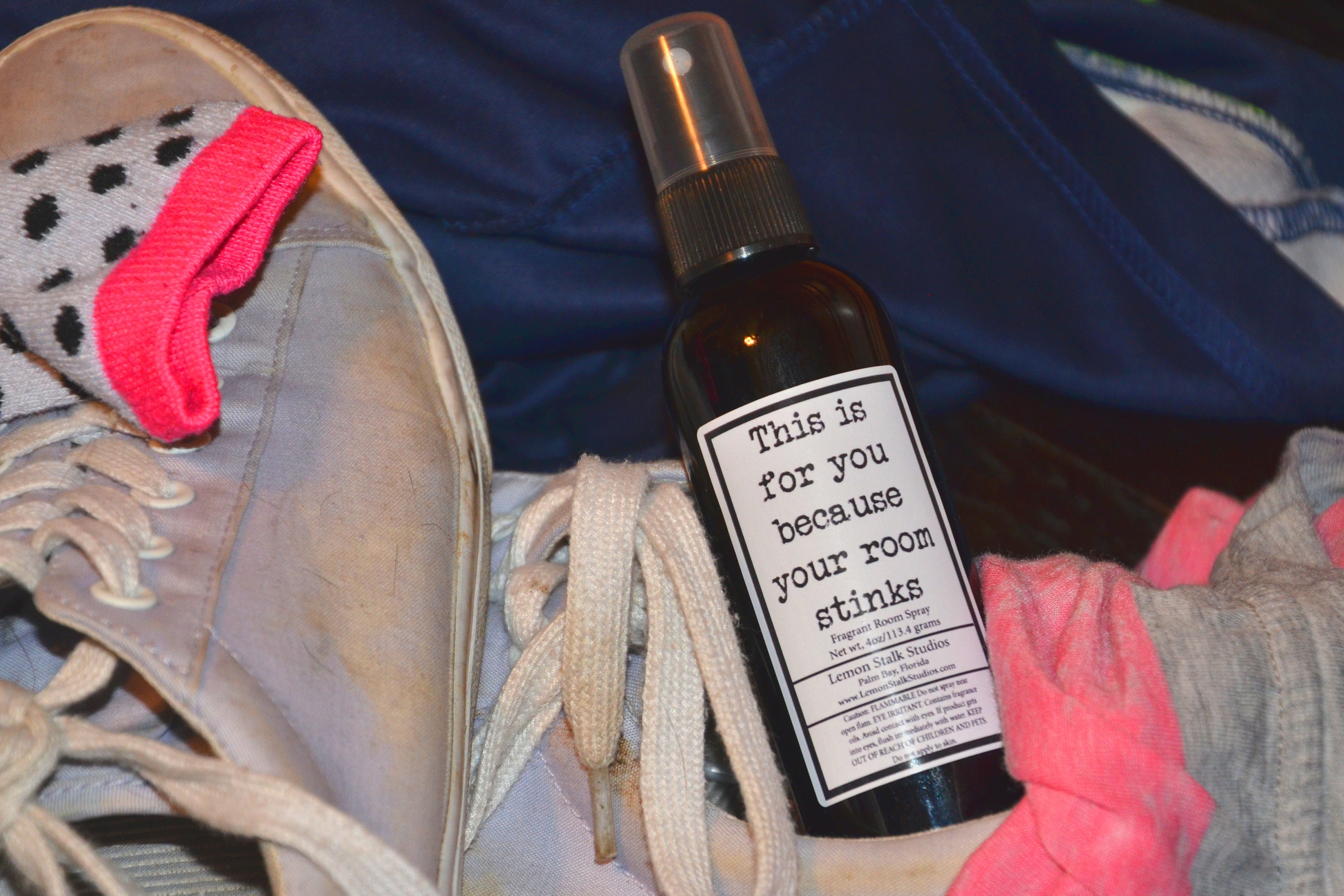 Funny Room Sprays, Gift for Teen, Because Your Room Stinks, Sorry I ...