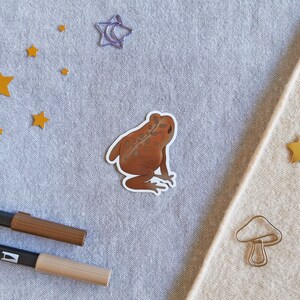 Toad Vinyl Sticker Weatherproof Waterproof Toads Frog Glossy | Etsy