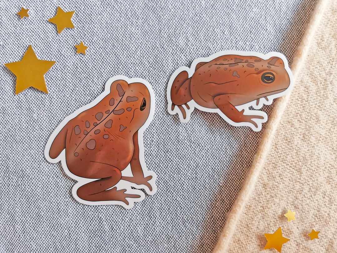 Toad Vinyl Sticker - Weatherproof Waterproof Toads Frog Glossy Decals ...