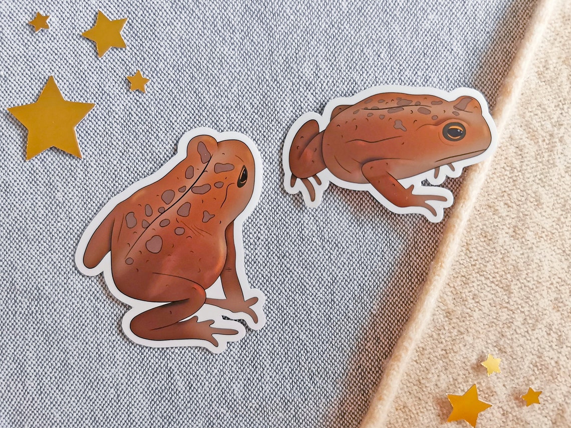 Toad Vinyl Sticker Weatherproof Waterproof Toads Frog Glossy | Etsy