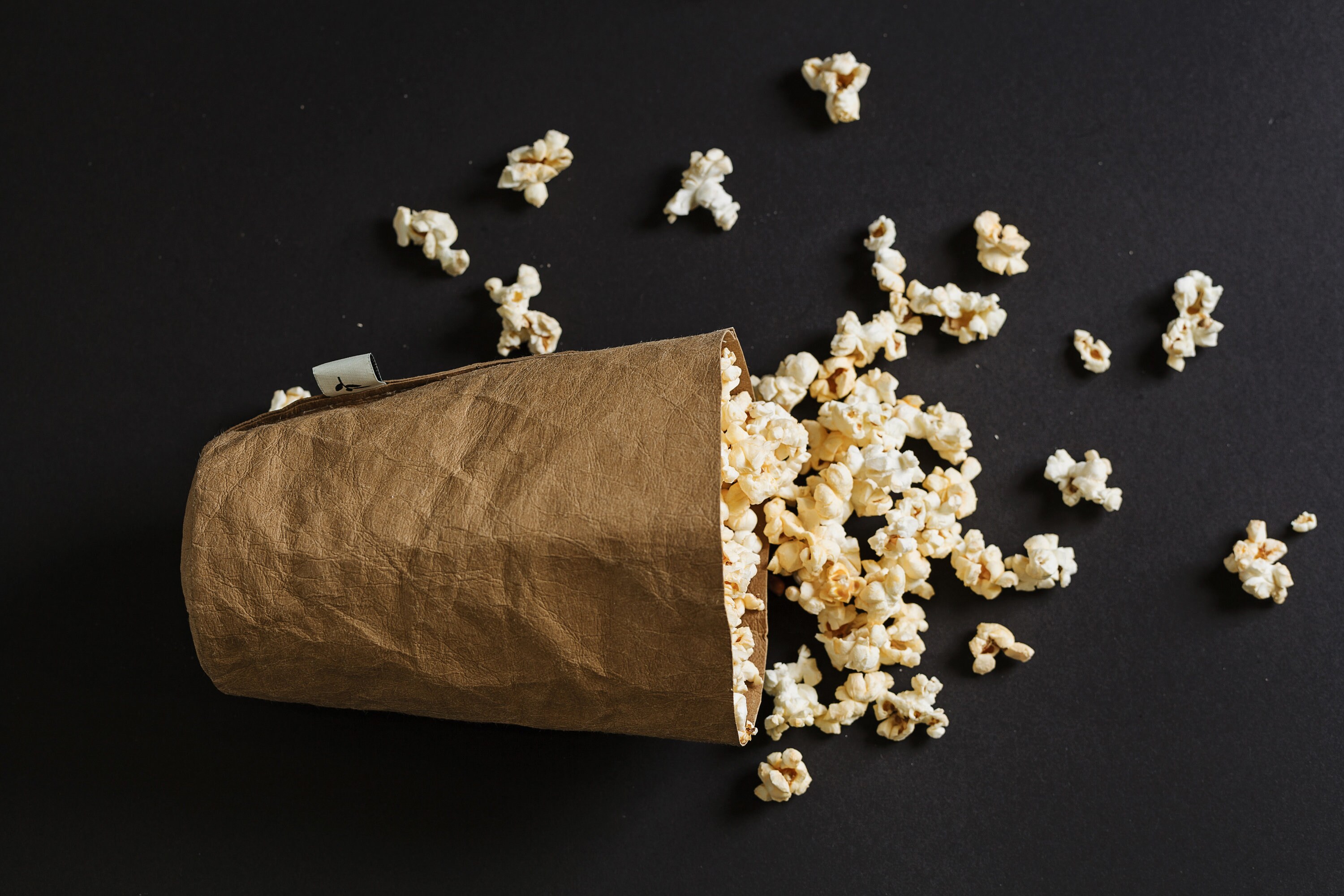 Reusable popcorn bag Reusable popcorn bucket Popcorn bowl | Etsy