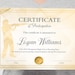 Editable Shooting Certificate Template for Boys, DIY Marksmanship ...