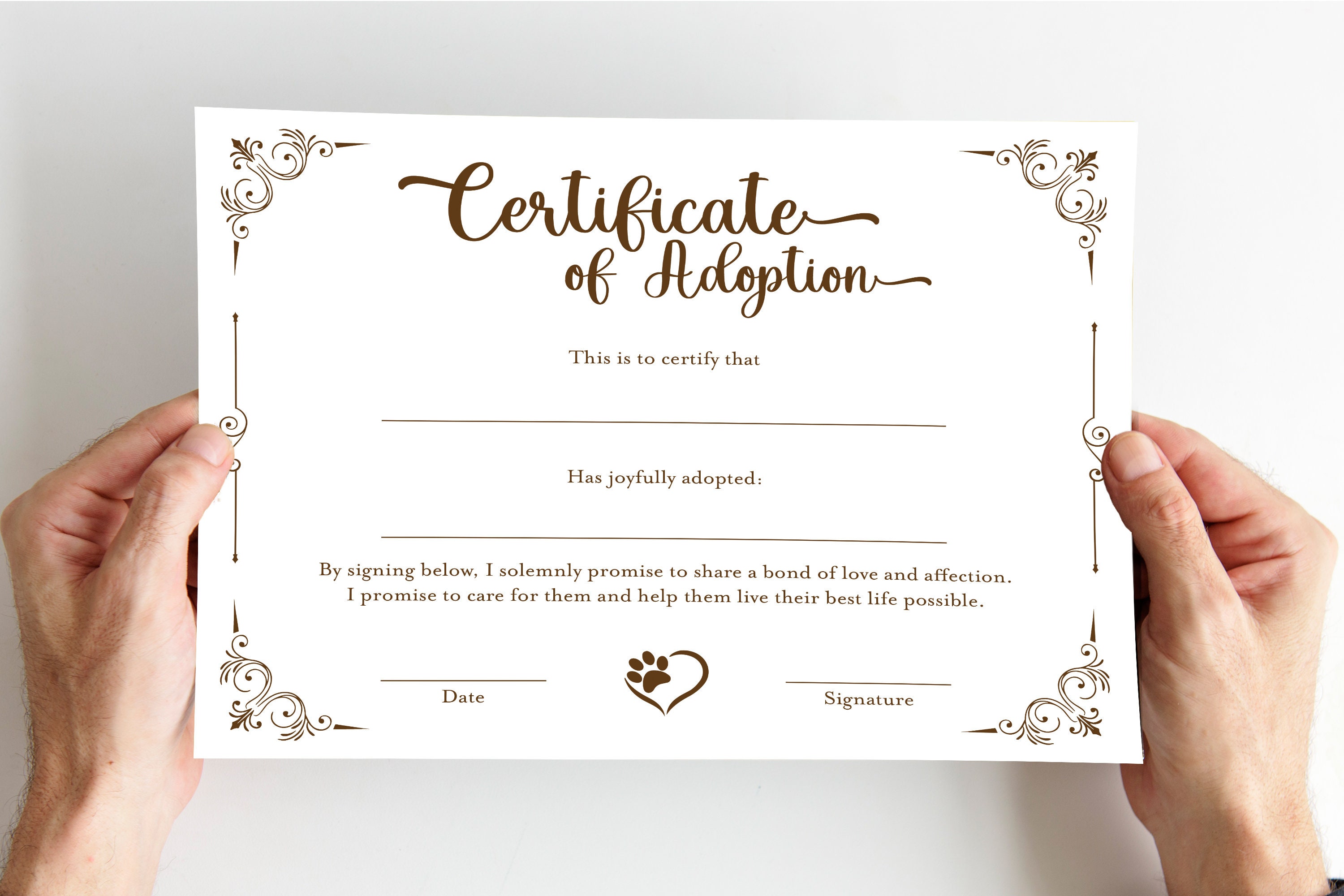 PDF Adoption Certificate Template PRINTABLE Blank Pet - Etsy