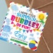 Printable PDF Bubbles of Fun Summer Tag, End of School Year Tags - Etsy