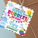 EDITABLE Bubbles of Fun Summer Tag, End of School Year Tags, Summer ...