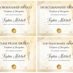 EDITABLE End of Season Cheer Awards, 25 Plus Cheerleading Certificate ...