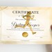 Editable Girls Cross Country Certificate Template Girls Cross - Etsy