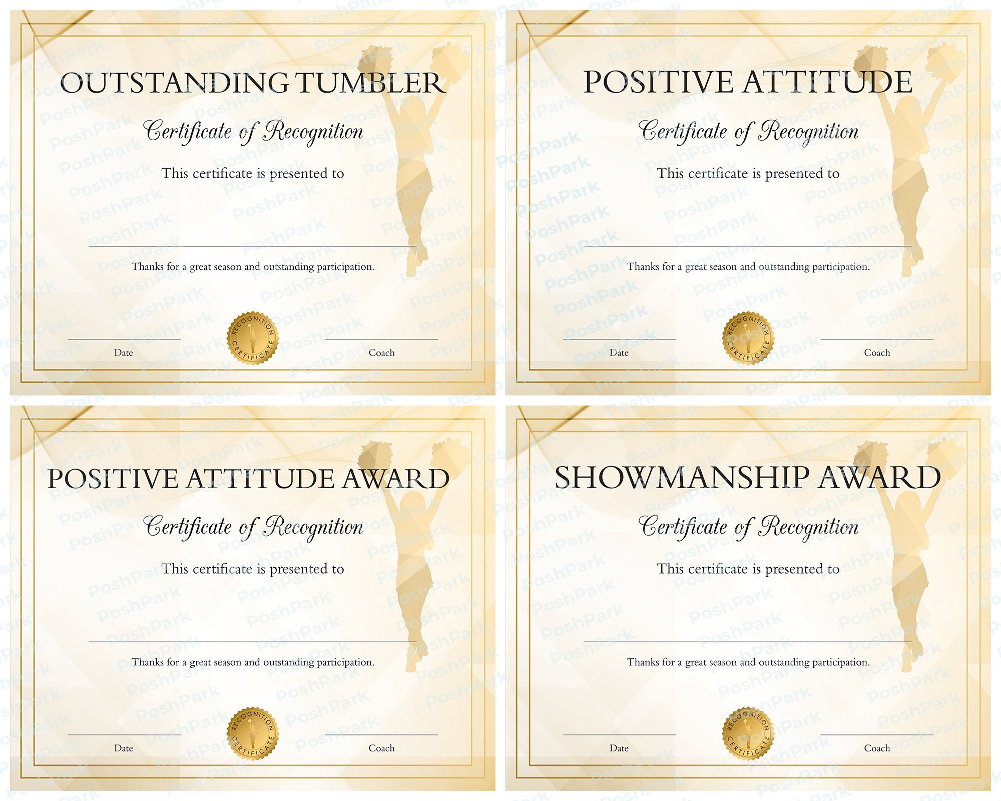 PRINTABLE PDF End of Season Cheerleading Award Certificates, 25 Plus ...