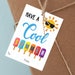 PDF Have a Cool Summer Ice Pop Tag, End of Year Gift Tag for Students ...