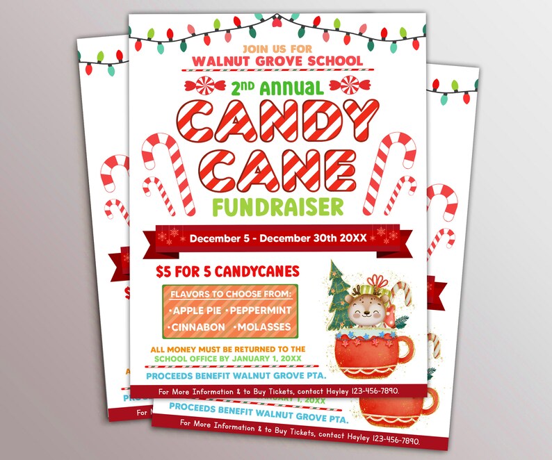 Editable Candy Cane Fundraiser Flyer Template Printable PTA - Etsy