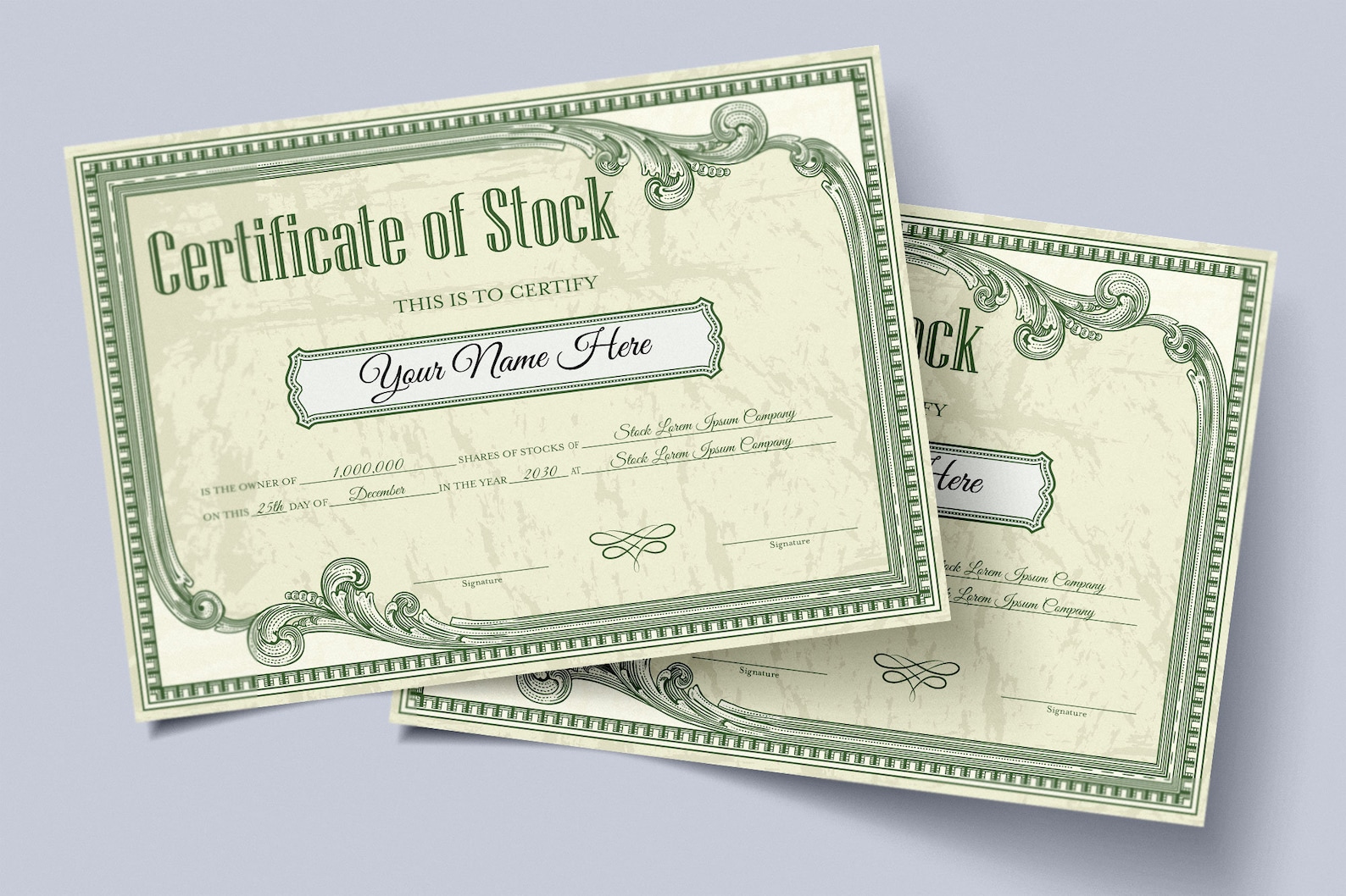 EDITABLE Stock Certificate DIY Certificate of Stock Template - Etsy