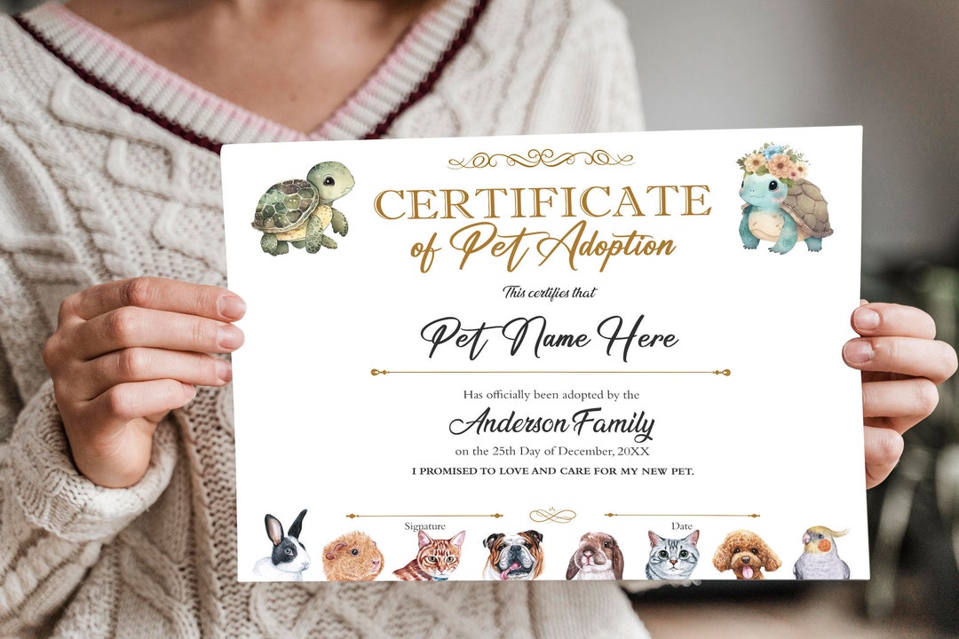 Pet Adoption Certificate, Animal Certificate Template, Certificate of ...